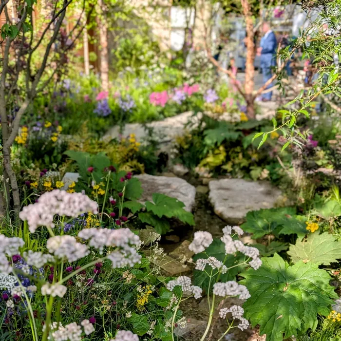 Avanade Intelligent Garden at RHS Chelsea Flower Show has Sitecore at its roots | Sitecore